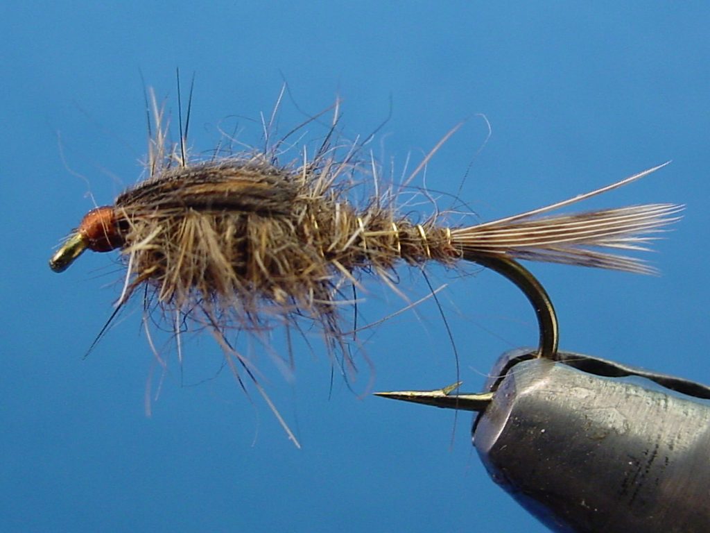 Flies: Red Fox Squirrel Nymph – Fightmaster Flyfishing Journal