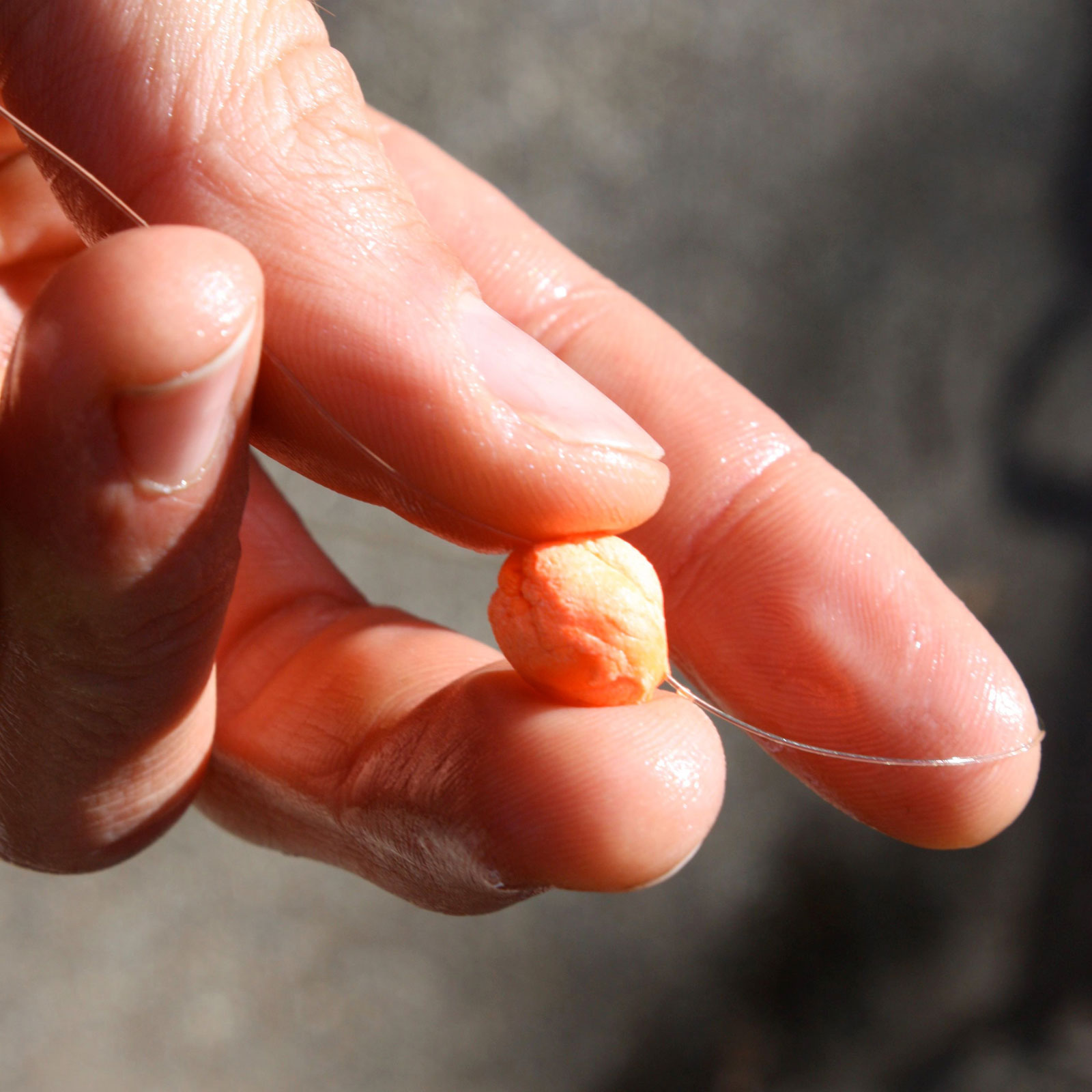 How Stuff Works: Strike Indicators – Fightmaster Flyfishing Journal